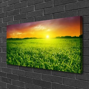 Obraz na plátně Obilí Pole Východ Slunce 100x50 cm