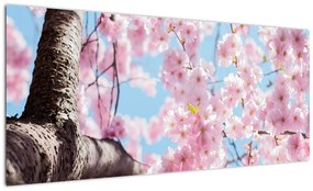 Kvetoucí strom - obraz (100x40cm)