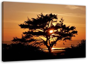 Gario Obraz na plátně Strom u moře při západu slunce Rozměry: 60 x 40 cm