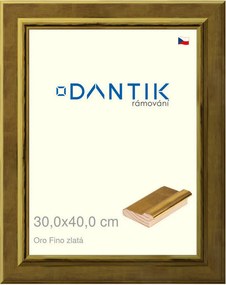 DANTIK rámeček 30x40 | Oro Fino zlatá (Plexi Čiré)