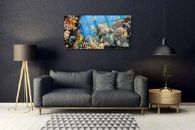 akrylový obraz Korálový Útes Příroda 100x50 cm