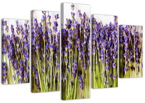 Obraz na plátně pětidílný Levandulové květy příroda - 150x100 cm