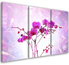 Obraz na plátně třídílný, Základní orchidej - 90x60 cm