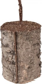 Vánoční dekorace jehličnatý stromek na dřevě - 14*14*45 cm