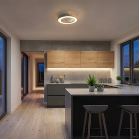 Brilagi - LED Stmív. svítidlo s ventilátorem LED/38W/230V 50 cm šedá/dub + DO