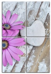 Obraz na plátně - Květy a kamenné srdce - obdélník 783D (120x80 cm)