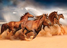 Malvis ® Tapeta Koně na poušti Vel. (šířka x výška): 432 x 290 cm