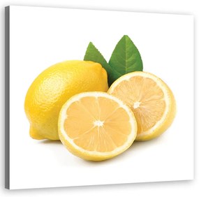 Obraz na plátně, Citron ovoce - 50x50 cm