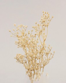 Větev Frostbloom ecru 80 cm