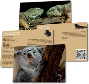 EFKO HRA Lototrio Zvířata v ZOO 2 dětské vzdělávací hry ef8861