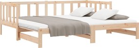 vidaXL Výsuvná postel 2x (80 x 200) cm masivní borovice [814708] Barva: Přírodní
