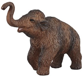 Mojo Mamut mládě