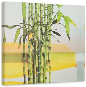 Obraz na plátně Bambusové listy Zen Spa - 30x30 cm