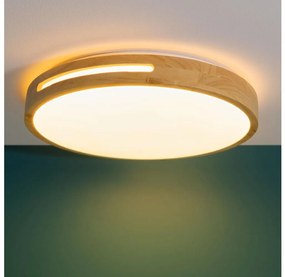 Brilliant - LED Stmívatelné stropní svítidlo WOODBURY LED/24W/230V pr. 39 cm