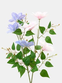 Sinsay - Decorative plant – clematis - pastelová růžová