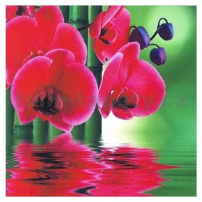 Samolepicí dekorace na kachličky Orchidei I. 15 x 15 cm