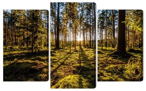 Vícedílný obraz Ranní Sluneční Paprsky V Lese Nedostatek Nedostatek Přírodní plátno 120x80