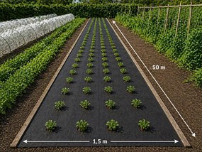 DIVODV Hustá agrovlákna 50 g, 1,5 m × 50 m, protiburinová mulčovací rohož, černá