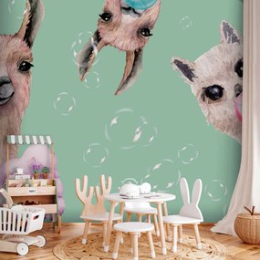 Fototapeta Šílené lamy - veselá zvířata s bublinami ledu a žvýkačkami pro děti