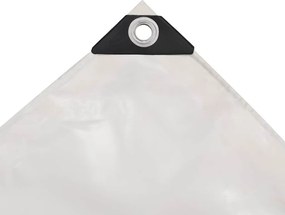 Plachta 650 g/m² 5 x 6 m bílá 144913