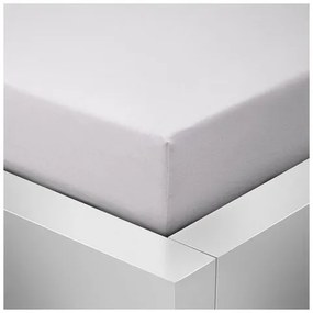 Jersey prostěradlo Standard bílá, 180 x 200 cm
