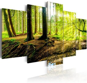Vícedílný obraz lesní potok + háčky a hřebíčky ZDARMA Velikost (šířka x výška): 100x50 cm