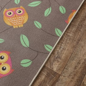AladinWorld Expres, Dětský kusový koberec Little Owls čtverec, 200x200, hnědá, dětský pokoj