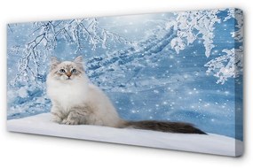 Obrazy na plátně kočka zima 140x70 cm