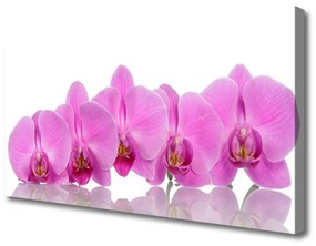 Obraz na plátně Růžová Orchidej Květiny 100x50 cm