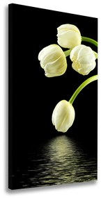 Wallmuralia Vertikální Foto obraz na plátně Bílé tulipány 50x100