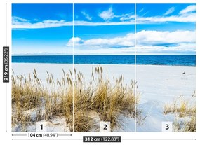 Fototapeta Písečná pláž 104x70