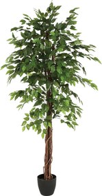 Vysoký umělý fíkus s květináčem, výška 180 cm