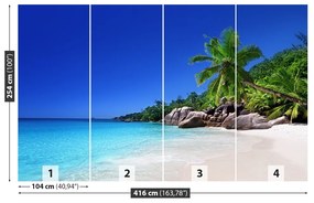 Fototapeta Seychelská pláž 104x70