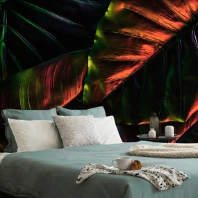 Samolepící tapeta tropické palmové listy - 375x250 cm