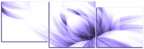 Obraz na plátně - Elegantní květ - panoráma 5147VD (90x30 cm)
