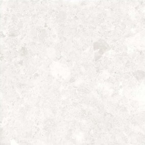 RAKO Atacama - Dlažba 59,8x59,8 cm, bílošedá DAK62120