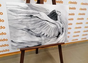 Obraz svobodný anděl v černobílém provedení - 60x40 cm