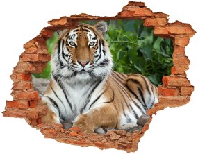 Wallmuralia Díra 3D fototapeta nálepka Sibiřský tygr 90x70 cm