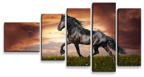 Sablio Obraz - 5-dílný Friský kůň - 100x60 cm