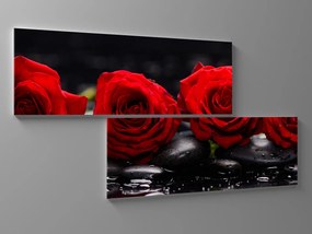 Liox Obraz růže a kameny Rozměr: 100 x 50 cm