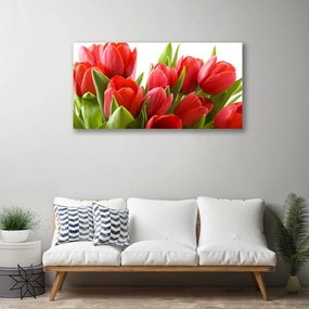 Obraz na plátně Tulipány Květiny Rostlina 125x50 cm