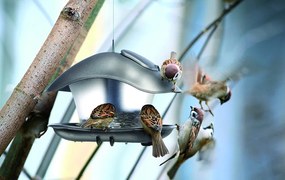 Krmítko pro ptáčky BirdieFood 24,8 cm antracit
