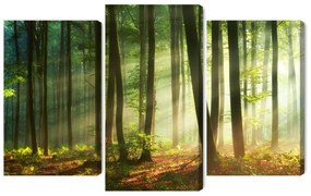 Vícedílný obraz Paprsky Slunce V Lese Nedostatek Nedostatek Plátno Canvas 120x80