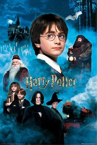 Plakát, Obraz - Harry Potter - Kámen mudrců, (61 x 91.5 cm)