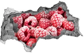 Wallmuralia Nálepka 3D díra na zeď Mražené maliny 95x73 cm