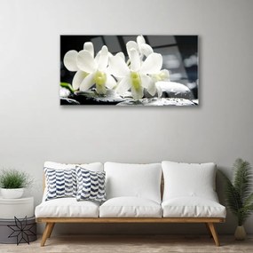 Obraz na skle Kameny Květiny Orchidej 120x60 cm