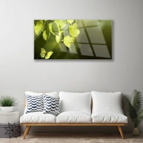 Plexisklo-obraz Listy Slunce Paprsky 100x50 cm