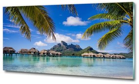 Wallmuralia Foto obraz sklo tvrzené Palmy na Bora Bora 100x50