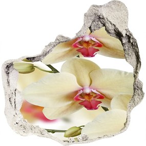 Wallmuralia Fototapeta nálepka na zeď Orchidej 75x75 cm