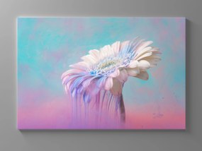 Růžovomodrý obraz gerbera Rozměr: 100 x 65 cm